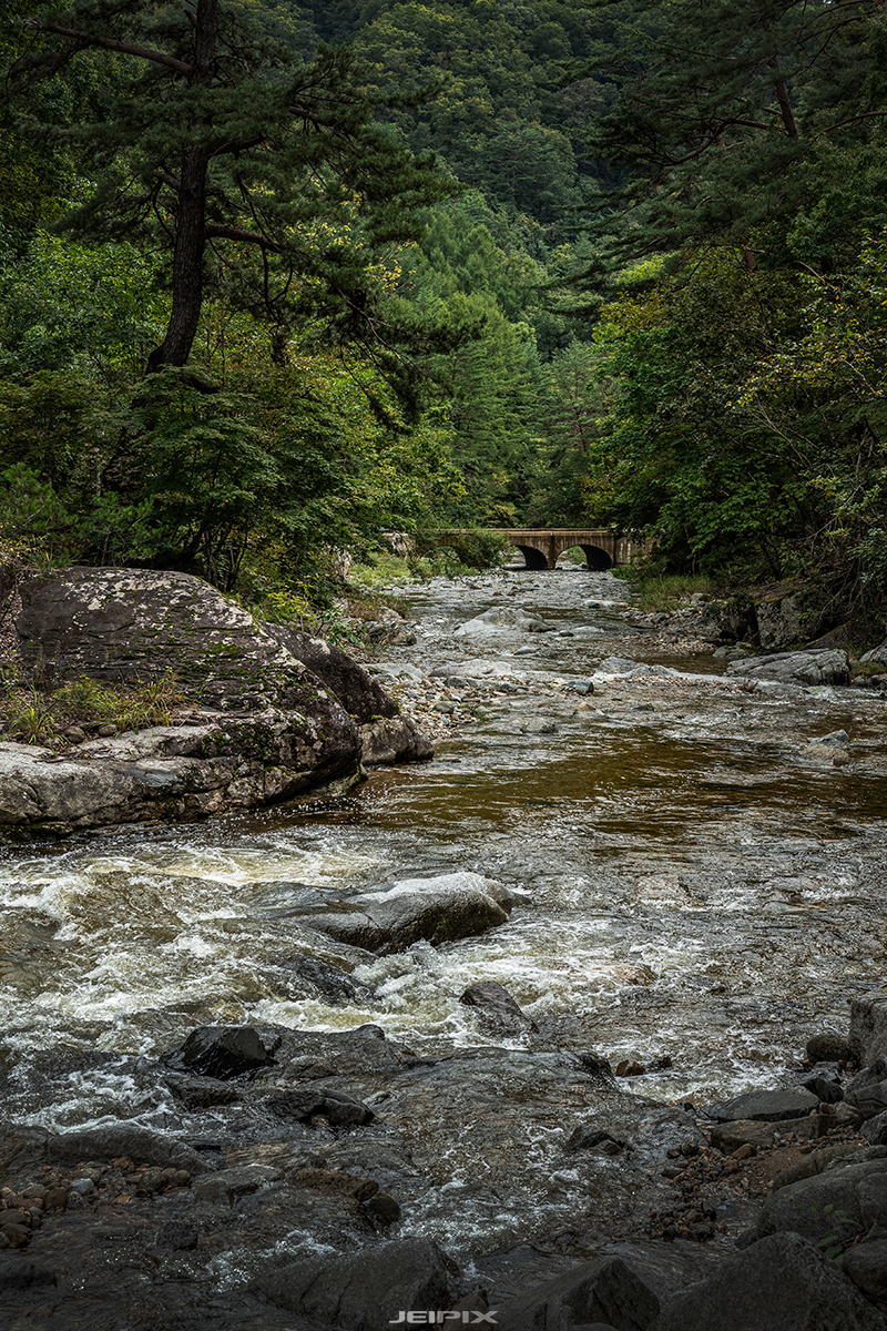 JEIPIX I 풍경스냅 - 울진 소광리 계곡