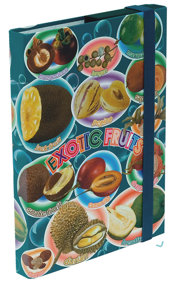 JEIPIX I 아트워크 - 잃어버린 과일 일러스트 바인더 디자인